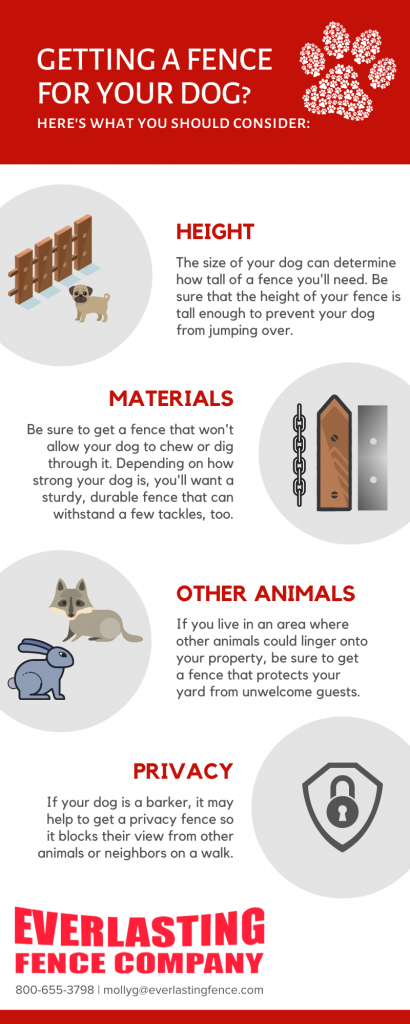 How to Pick the Perfect Fencing for Your Dog - Everlasting Fence